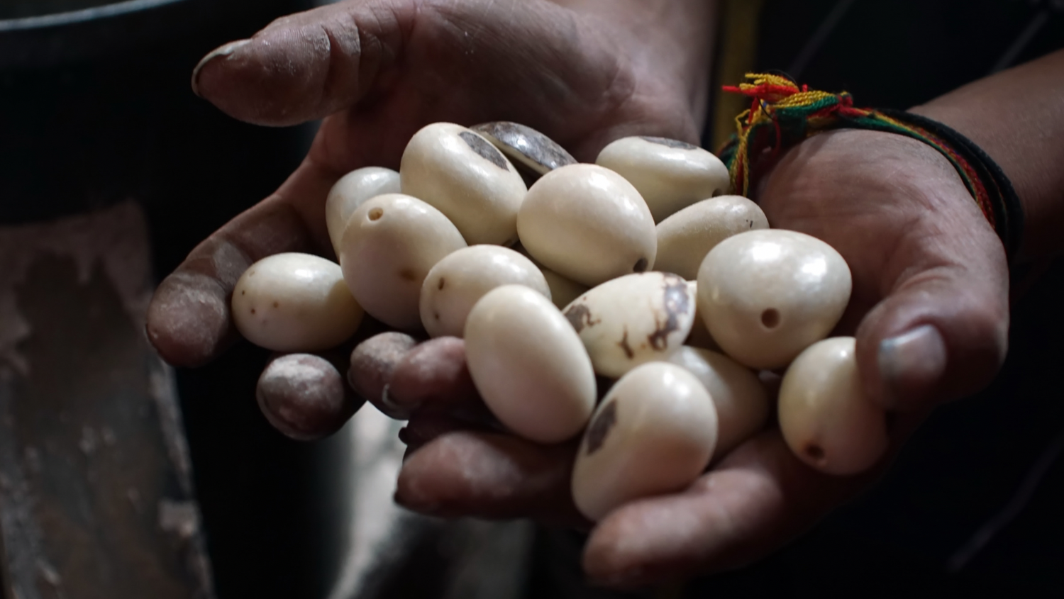 Tagua Bella Jewelry. Lux Resort Wear Unique Nut Gift Ecuador Galapagos